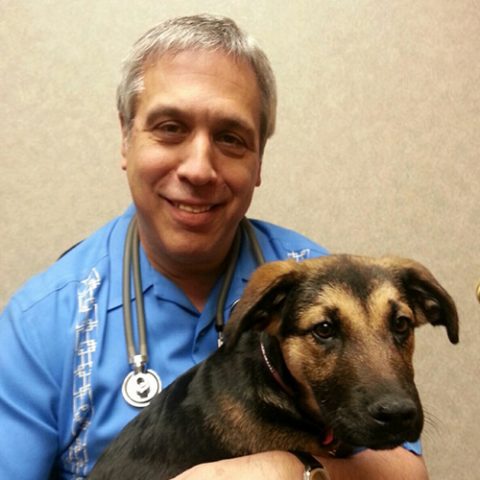 Dr. Robert Levy - Dearborn Pediatrics - Pediatric Medicine